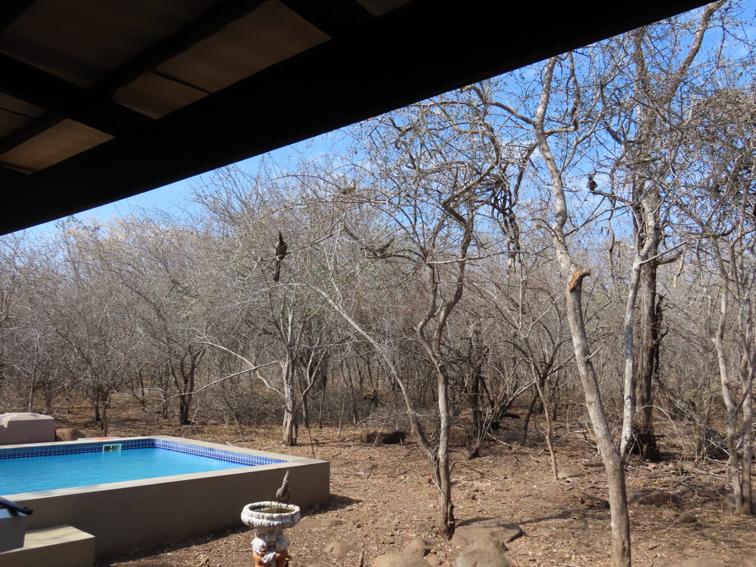 Everything changed in a day...Bush braai today at Frikkee's Dam ...